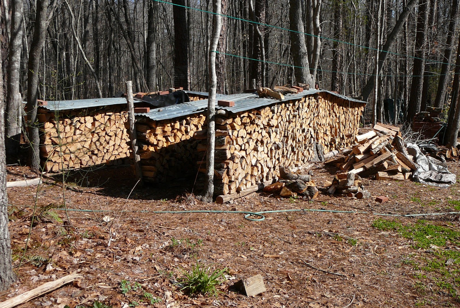 Morgan Creek Chronicles: Firewood