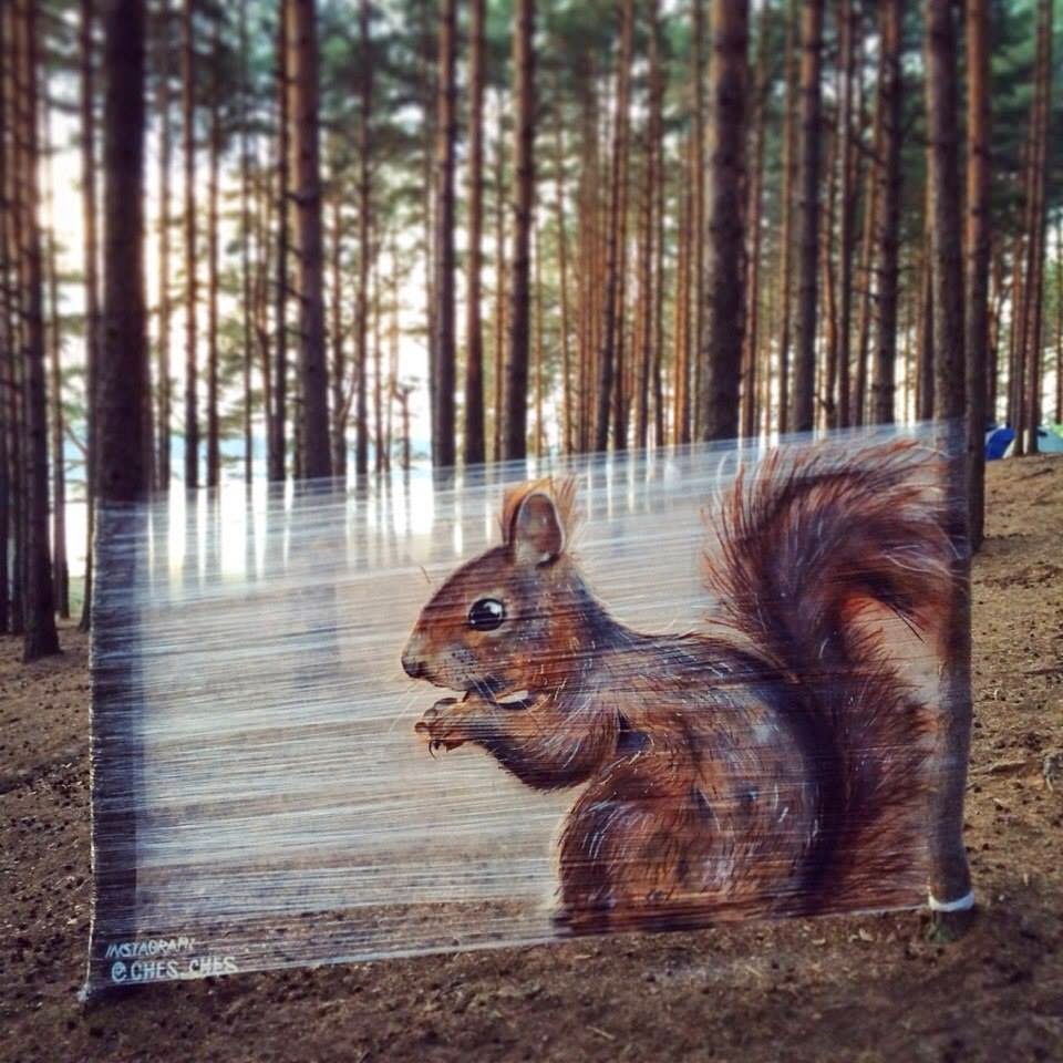 Squirrel in the forest, graffiti by Ches