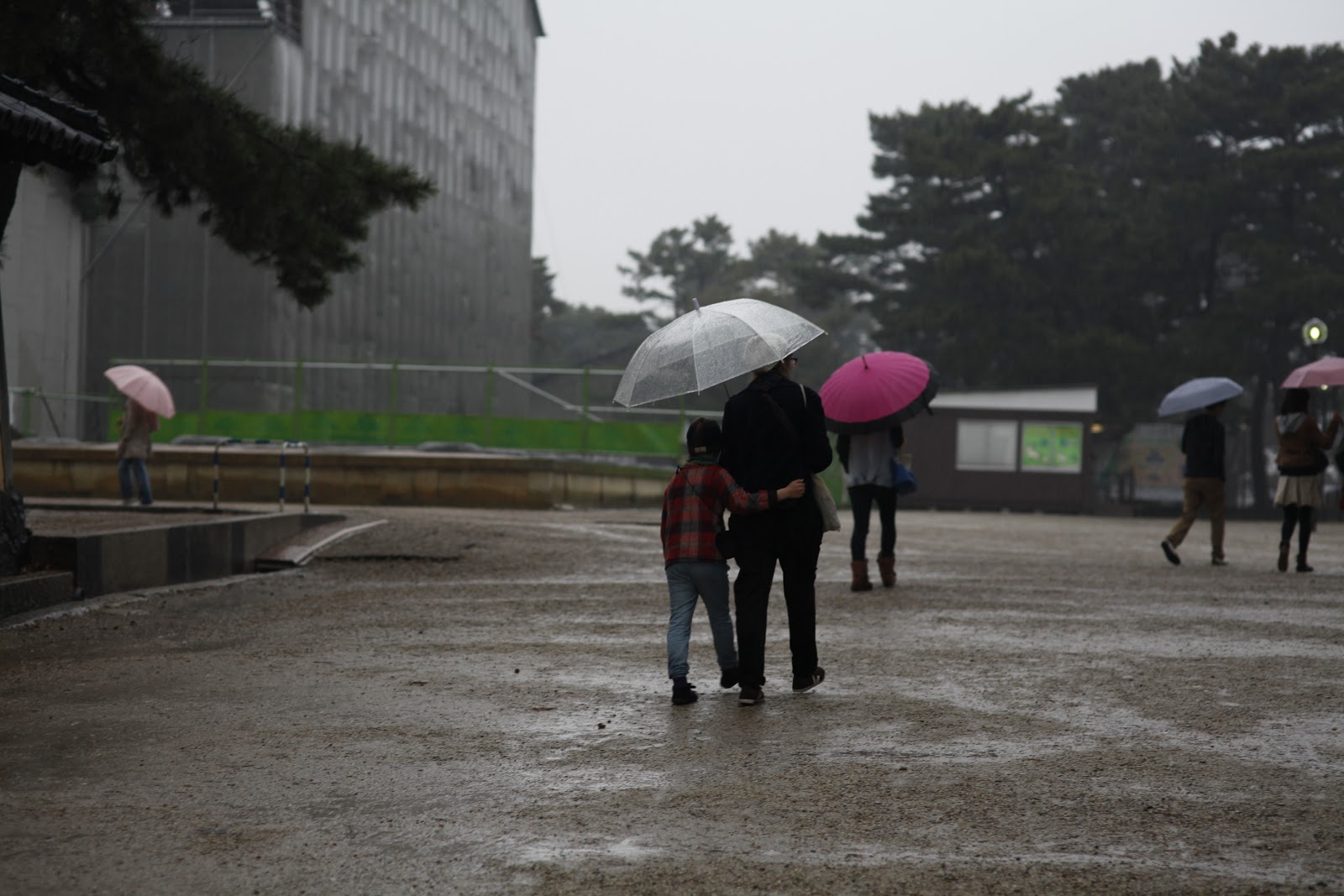 I AM IN JAPAN: today: dears in the rain