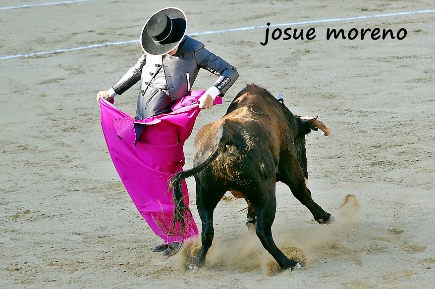 Josue Moreno: FESTIVAL DEL COTOLENGO