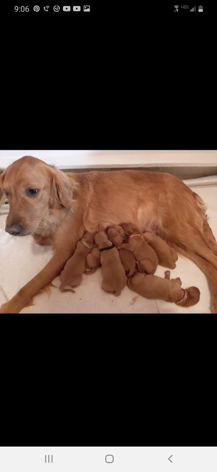 Newest Raborns on the Block!: Lucy Cove Raborn Growth Updates!