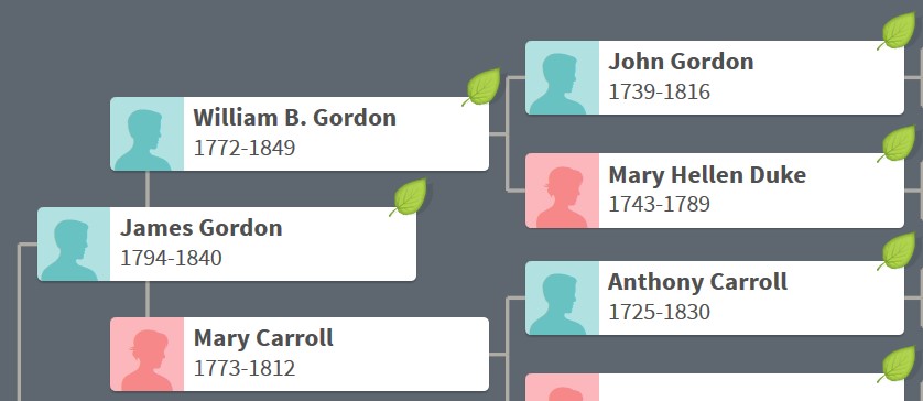 A Family Tapestry: Gordons on One Side