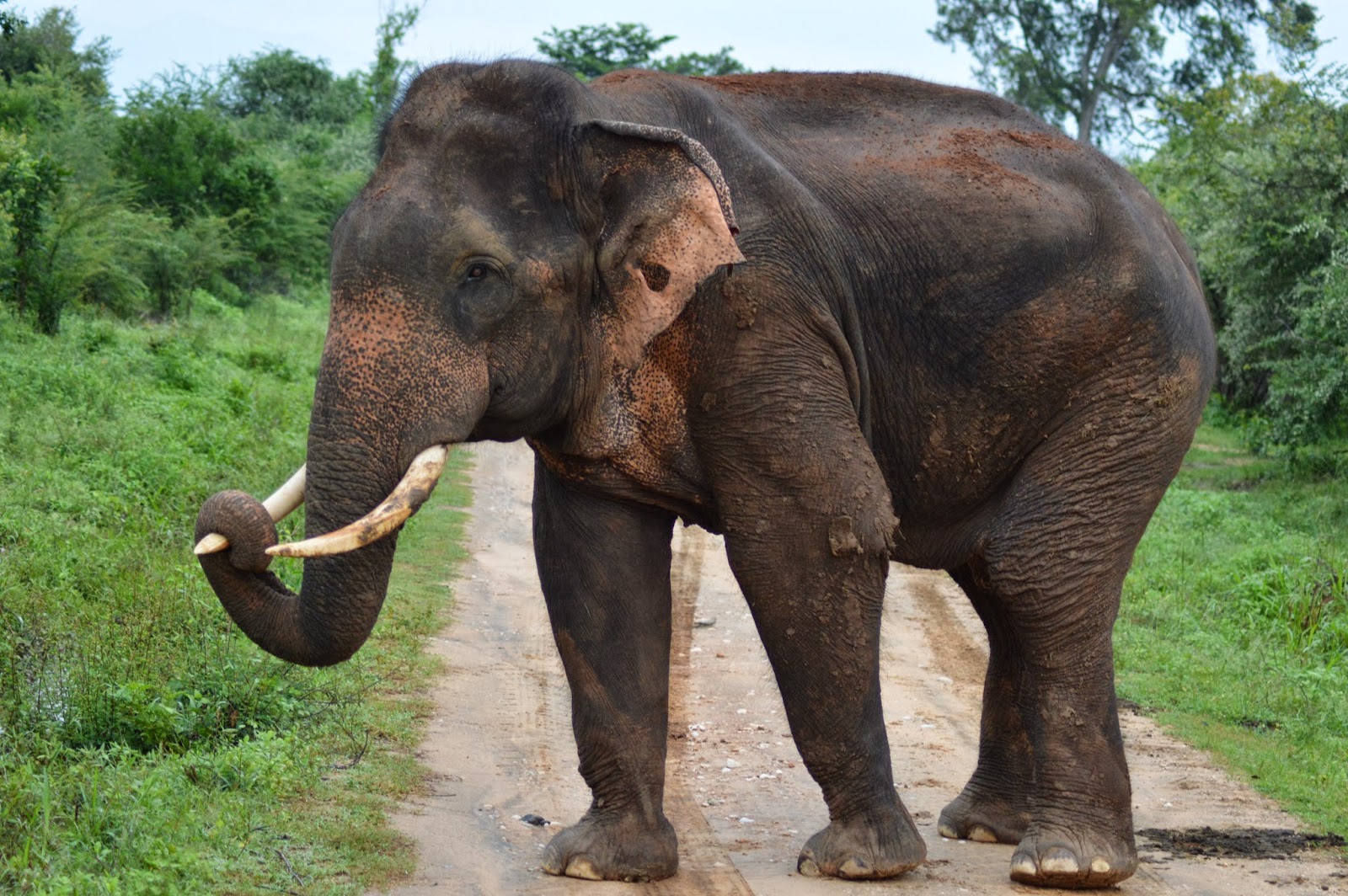 It Ain't Always My Life