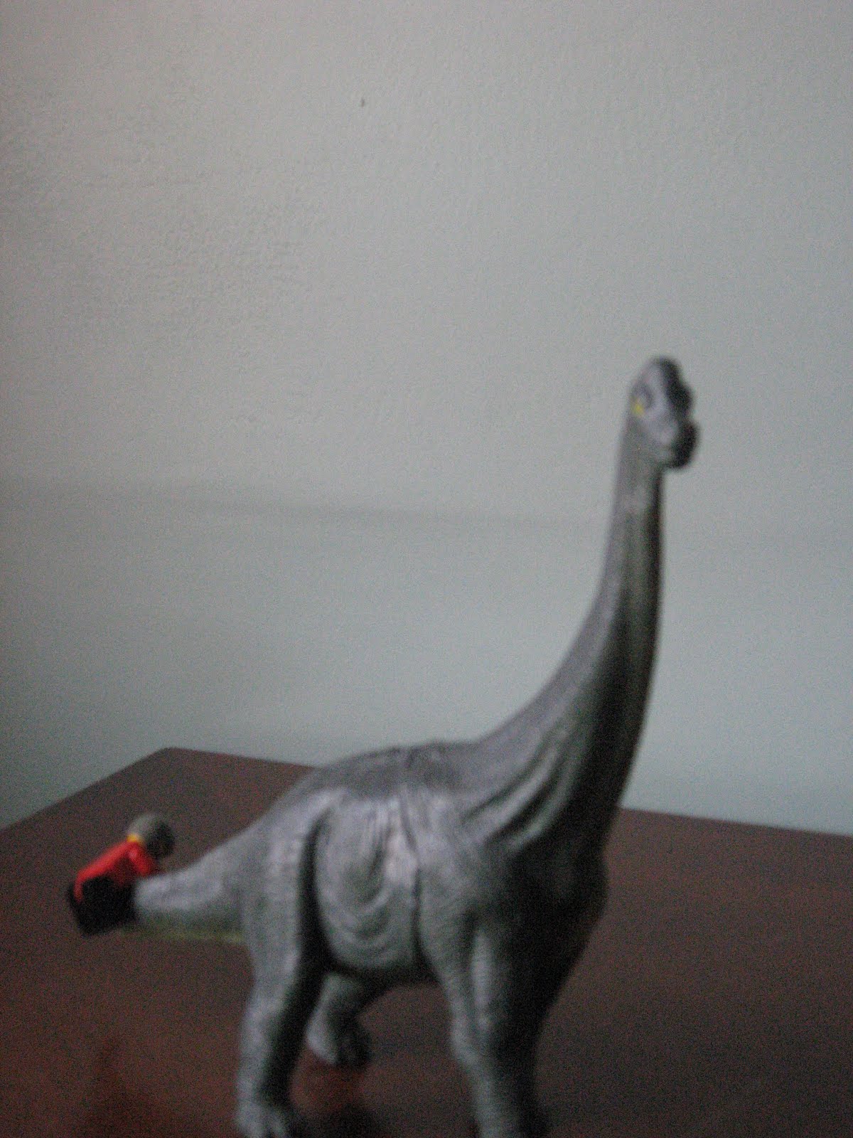 Eastern Blog Country