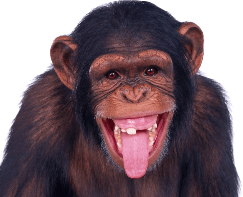 Short Story As Much Fun As A Barrel Of Monkeys By Craig Rainey short-story-as-much-fun-as-a-barrel-of-monkeys-by-craig-rainey