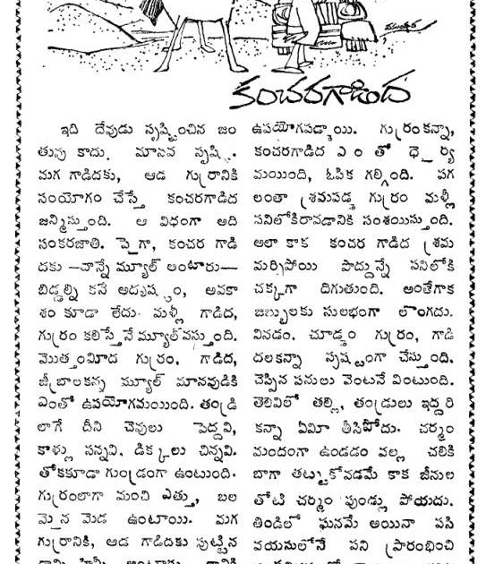 TELUGU WEB WORLD: KNOW ABOUT ANIMAL - KANCHARA GADIDHA