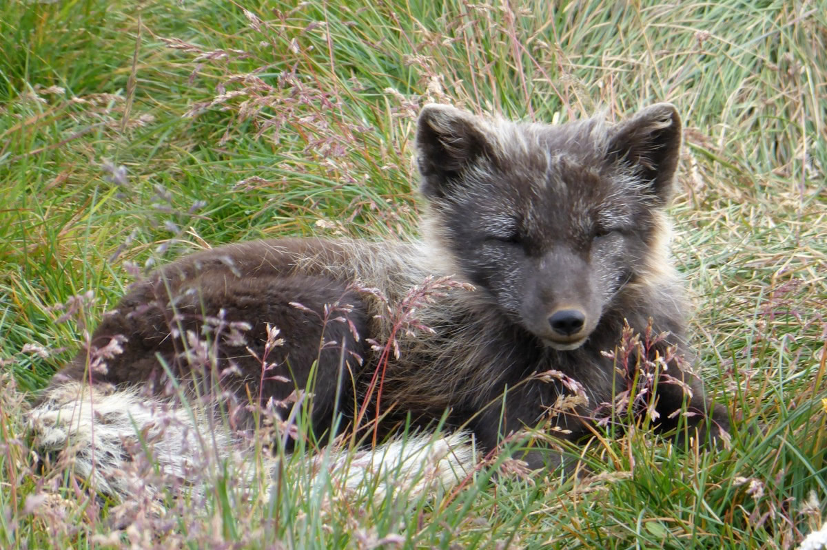 Another Side of this Life: April 2020