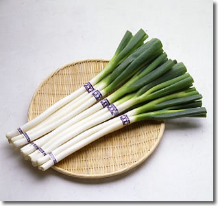 Miso and Yuzu: Grilled chicken with Japanese leek & salt dressing