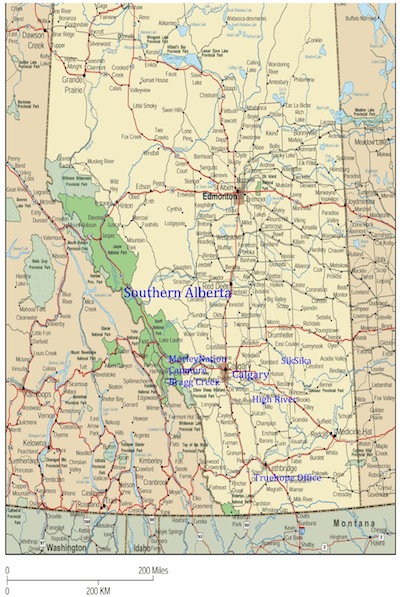 This Much I Know: 2013