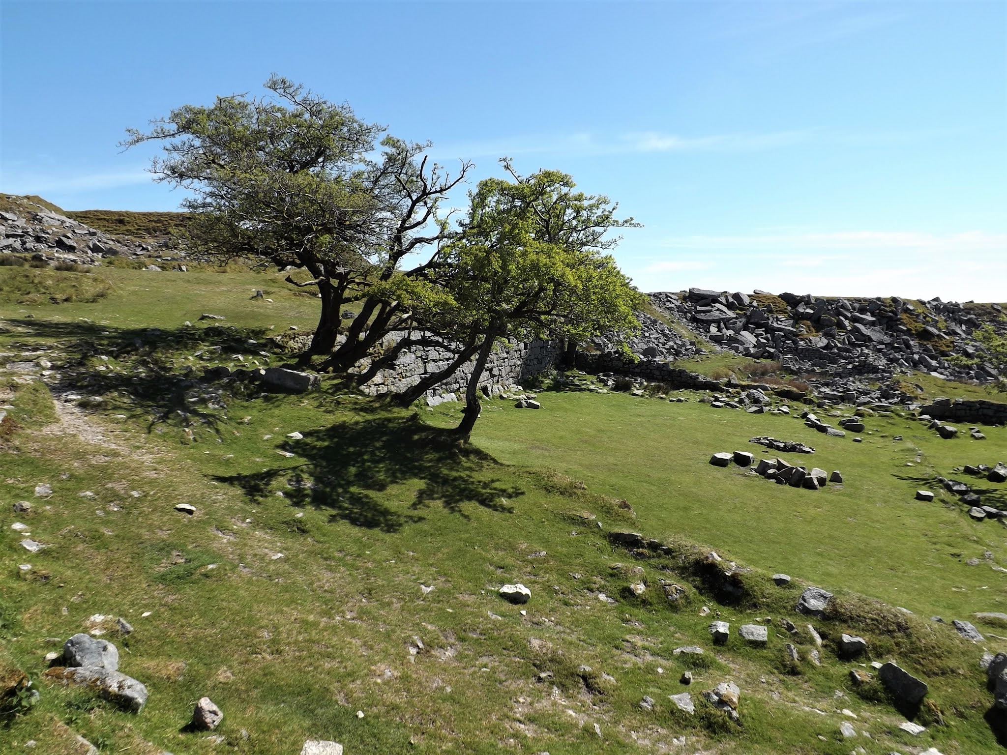 JJ's Wargames: Merrivale Walk, Dartmoor - Ruins in the Landscape with ...