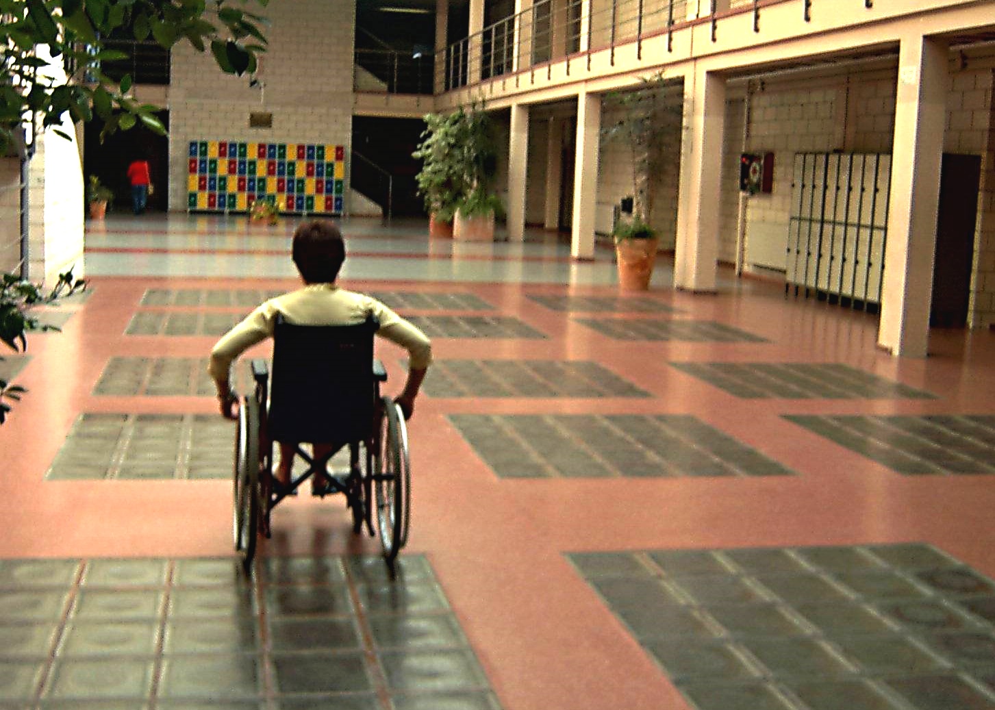 Necesidades educativas. Discapacidad motora.: 2020