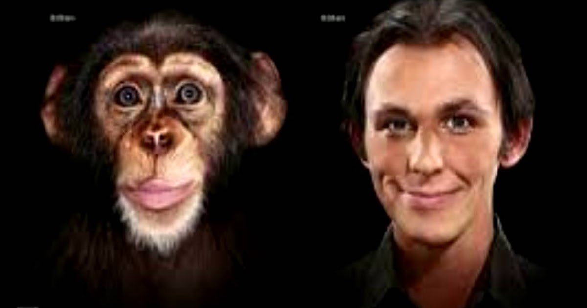 Empezando un blog: El papel del trabajo en la transformación del hombre ...