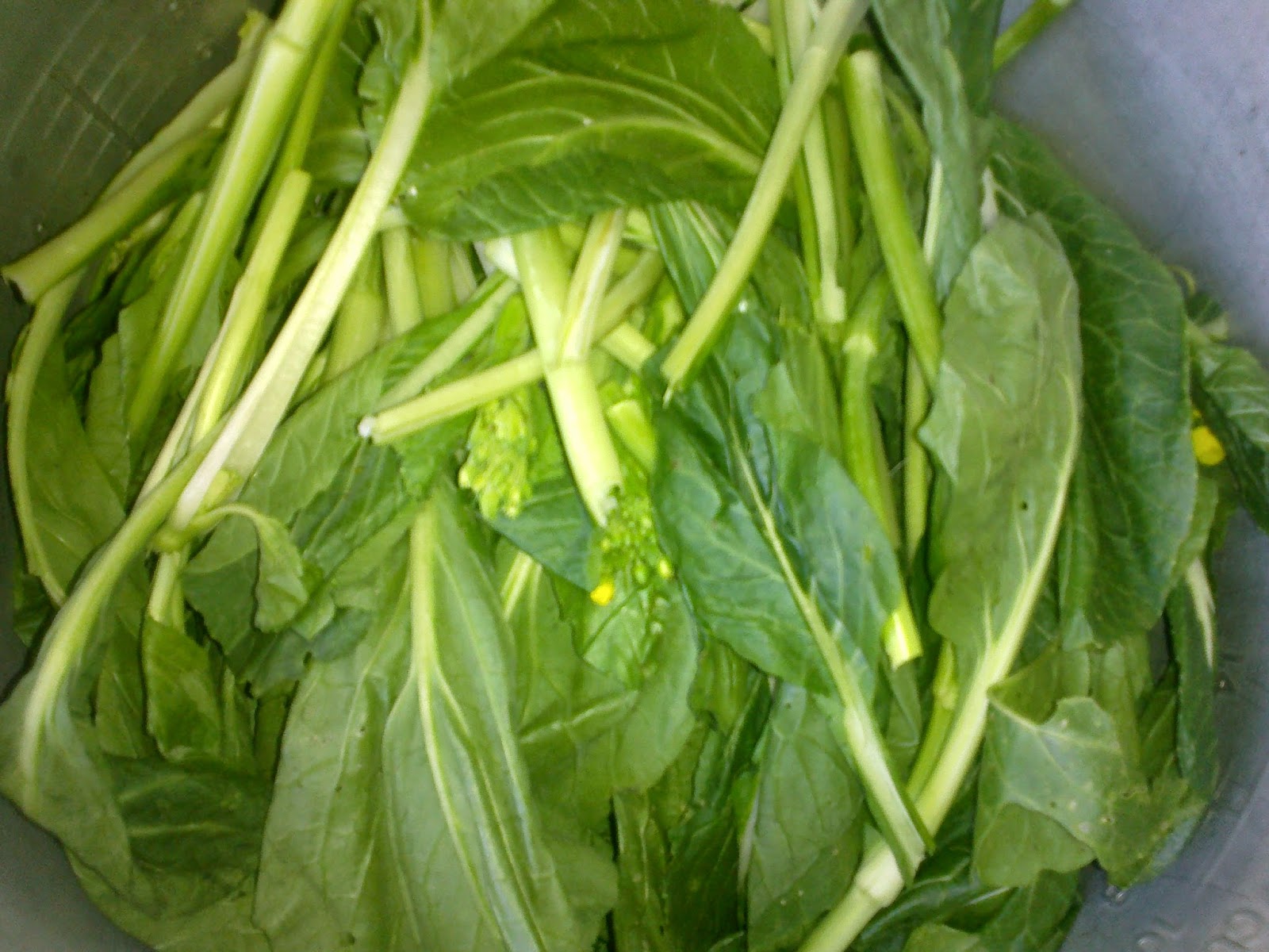 dalikan: Organic Food: Vegetable Sauté - Onion, Garlic and Flowering ...