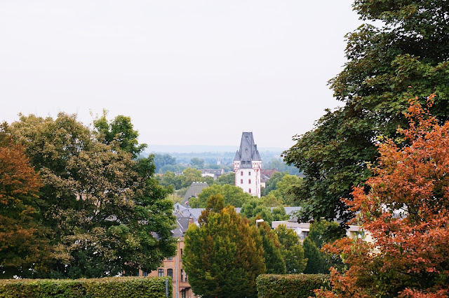 Escapada a Maguncia - Alemania
