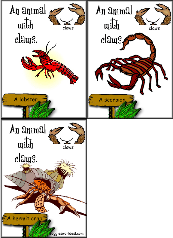 Teacher Rosa: ANIMAL BODY PARTS (PARTES DEL CUERPO DE ANIMALES