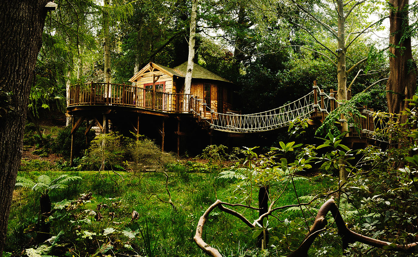 Shedworking: Treehouse kitchen garden office