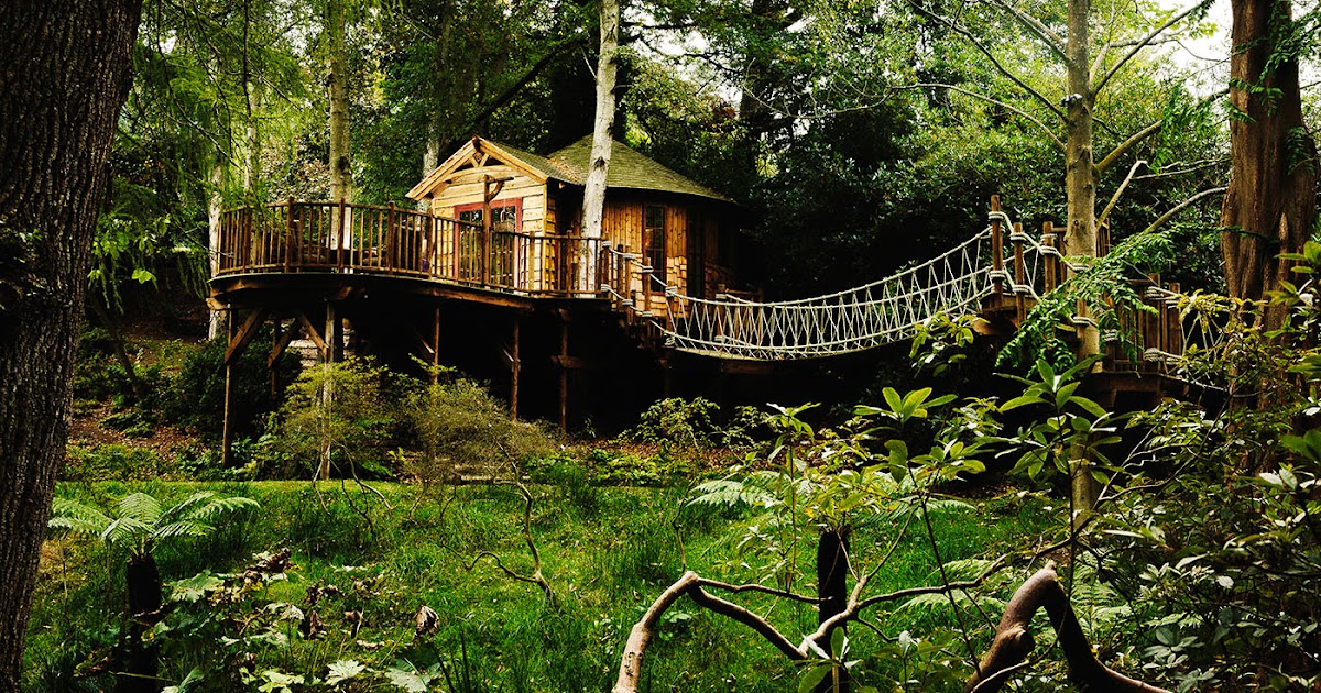Shedworking: Treehouse kitchen garden office