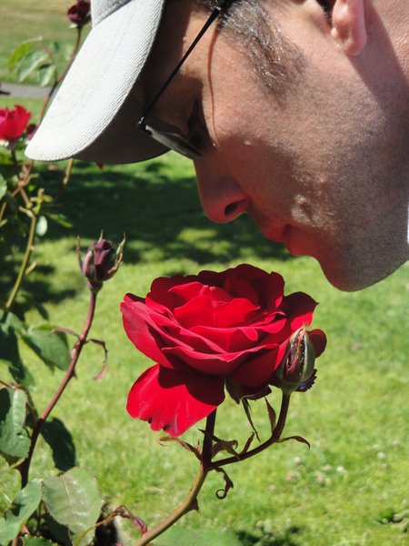 ΜΠΟΡΑ ΕΙΝΑΙ ΘΑ ΠΕΡΑΣΕΙ - Let's wait until the storm passes: Ν. Λυγερου ...