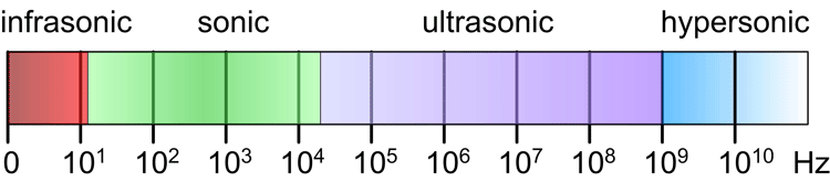 Science Doing: Sound Frequency