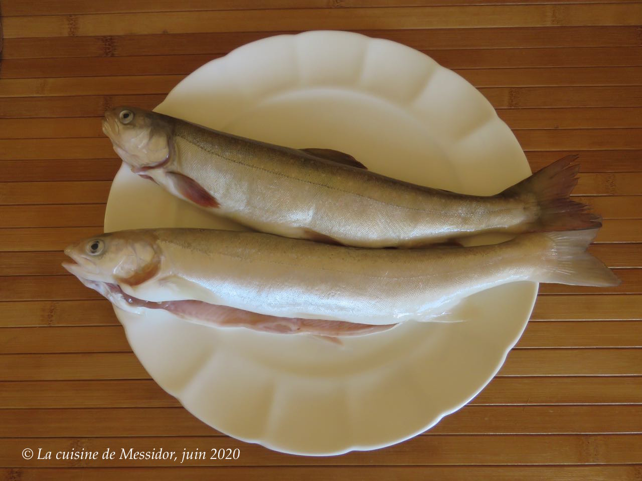La cuisine de Messidor: Omble chevalier farci au pesto rouge, bbq