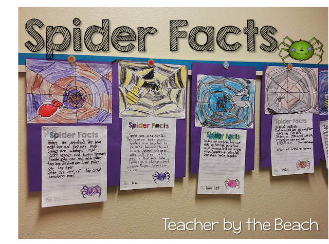 Spider Week - reading, writing, crafting - Teacher by the Beach