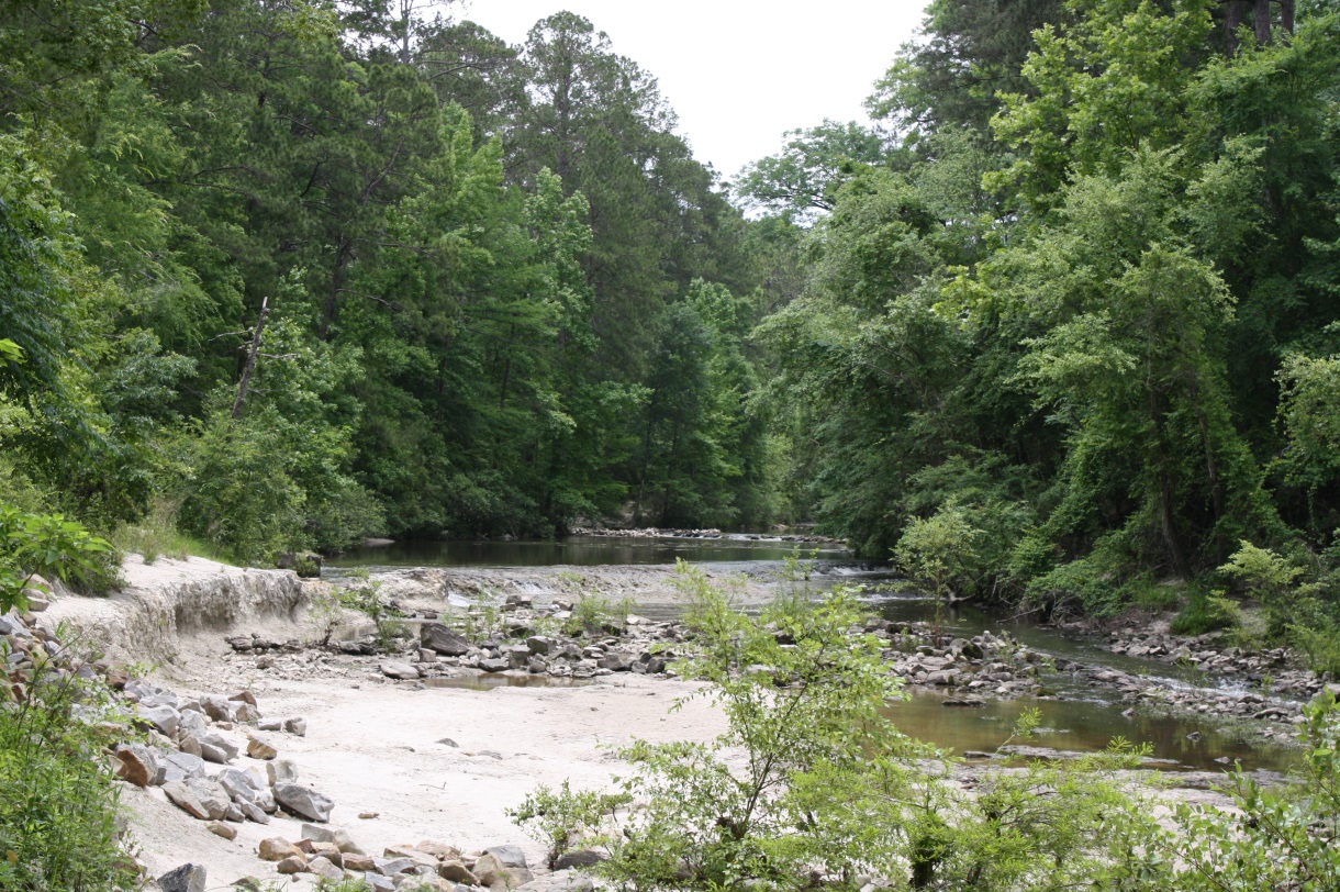 a southern naturalist almanac: Louisiana Natural Communities: Introduction