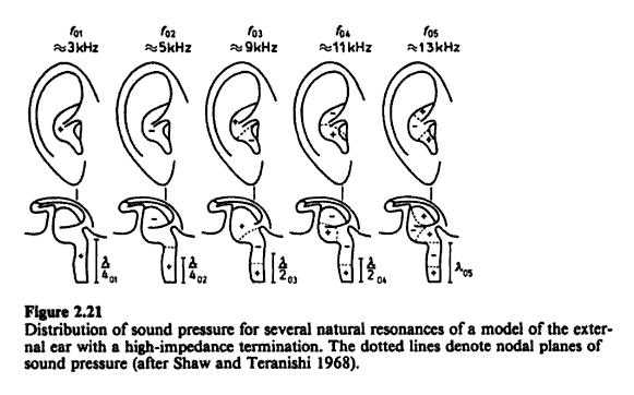 audio blog: Binaural Hearing and Direction Perception
