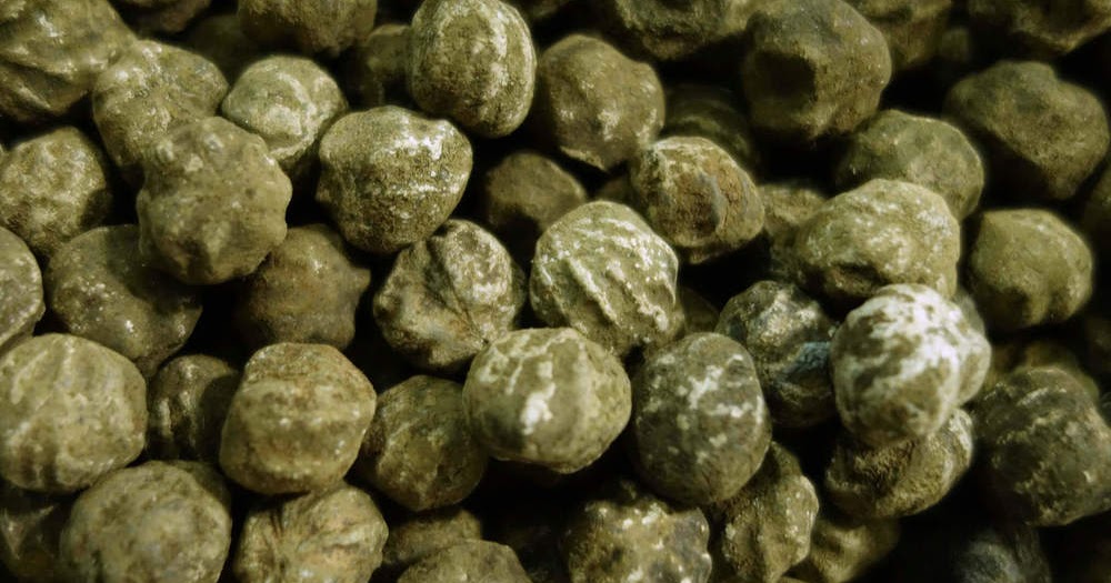 Kruiden & Specerijen: Njangsa