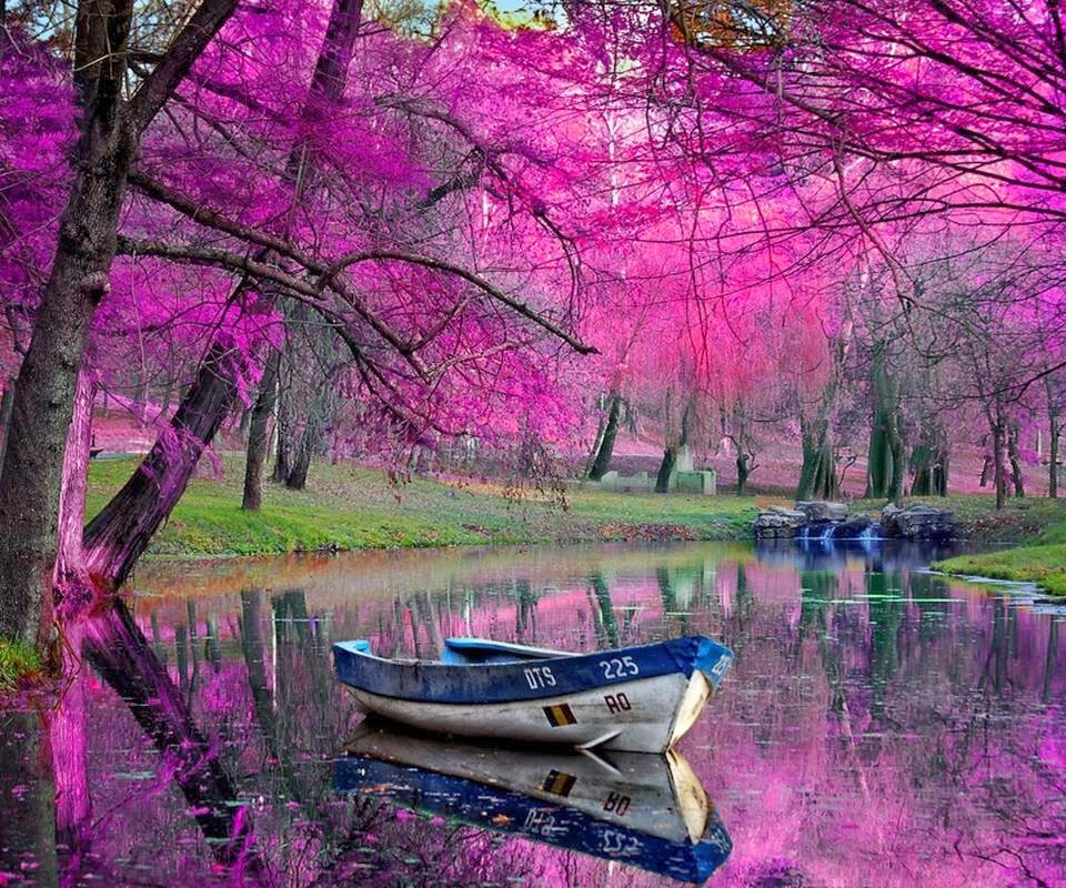 October 2014 - Nature Wallpaper