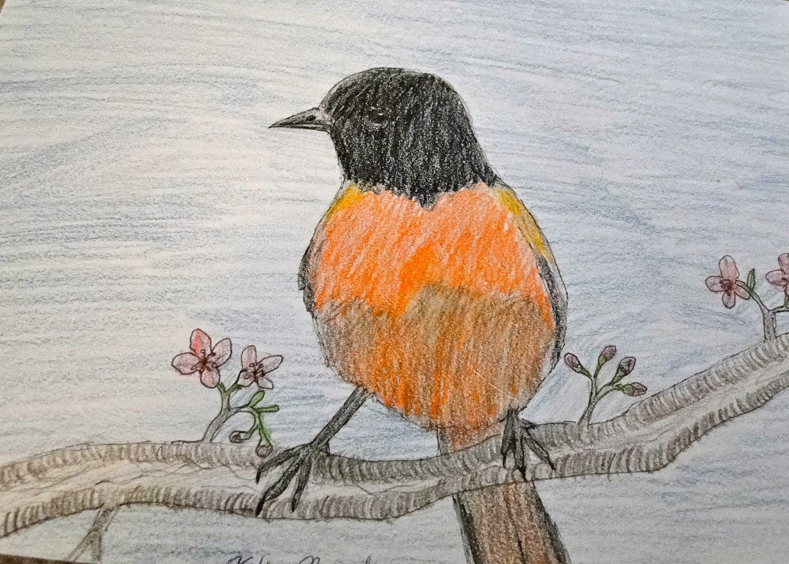 Birds, Etc.: Drawing Birds