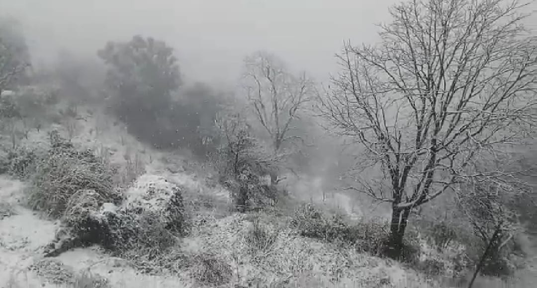 First snowfall of this season in Kullu-Manali | Season's first snowfall ...