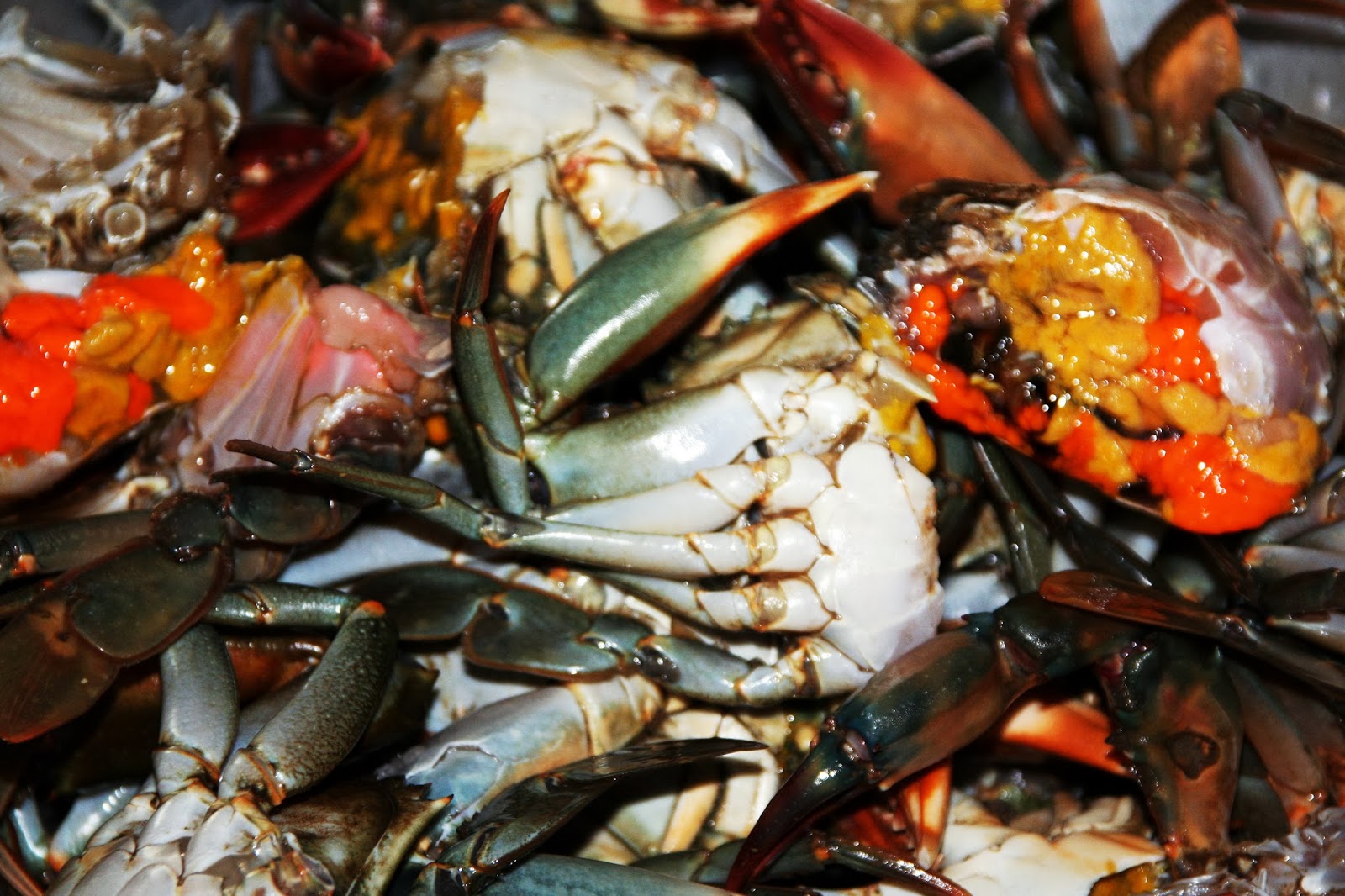 Living with Nature - School on Blog by Dr. Abercio V. Rotor: Delectable ...