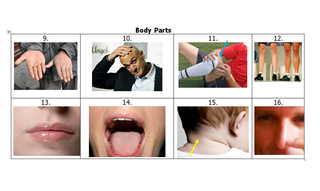 Semper Gumby: Assessment: Body Parts