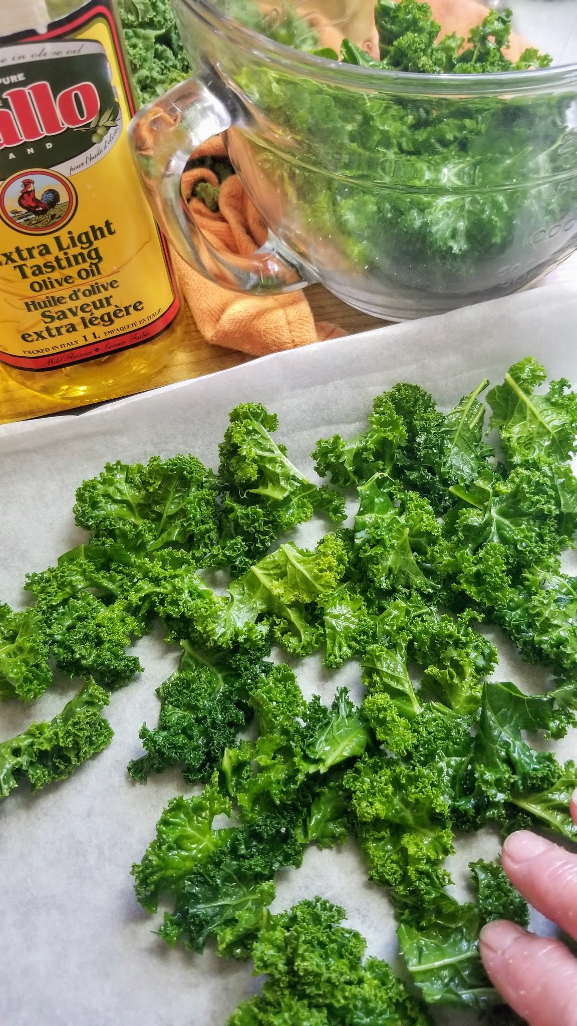 Hot and Cold Running Mom - Just my Stuff: Garlic Kale Chips