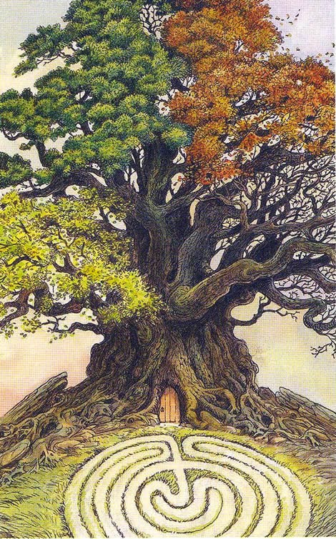 Cutie Stories: World Tree