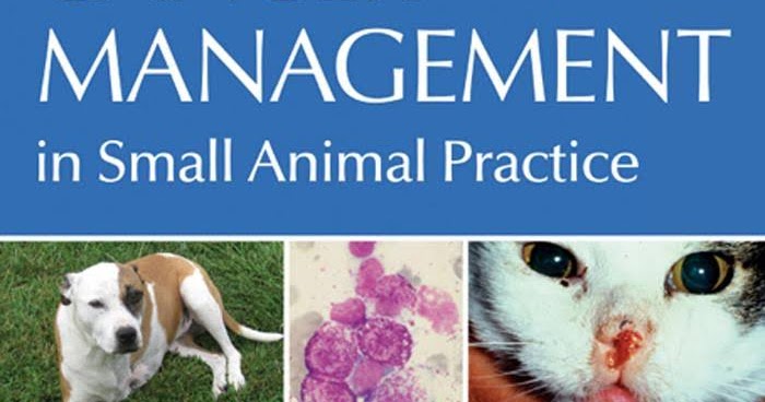 Cancer Management in Small Animal Practice
