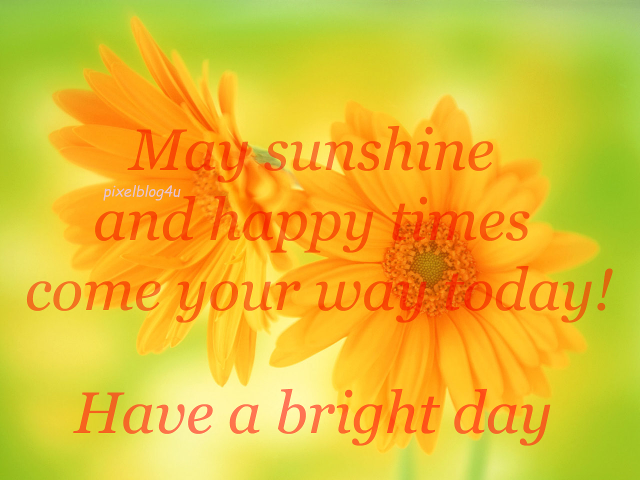 Good Day Pictures for Facebook, Whatsapp - pixelblog4u