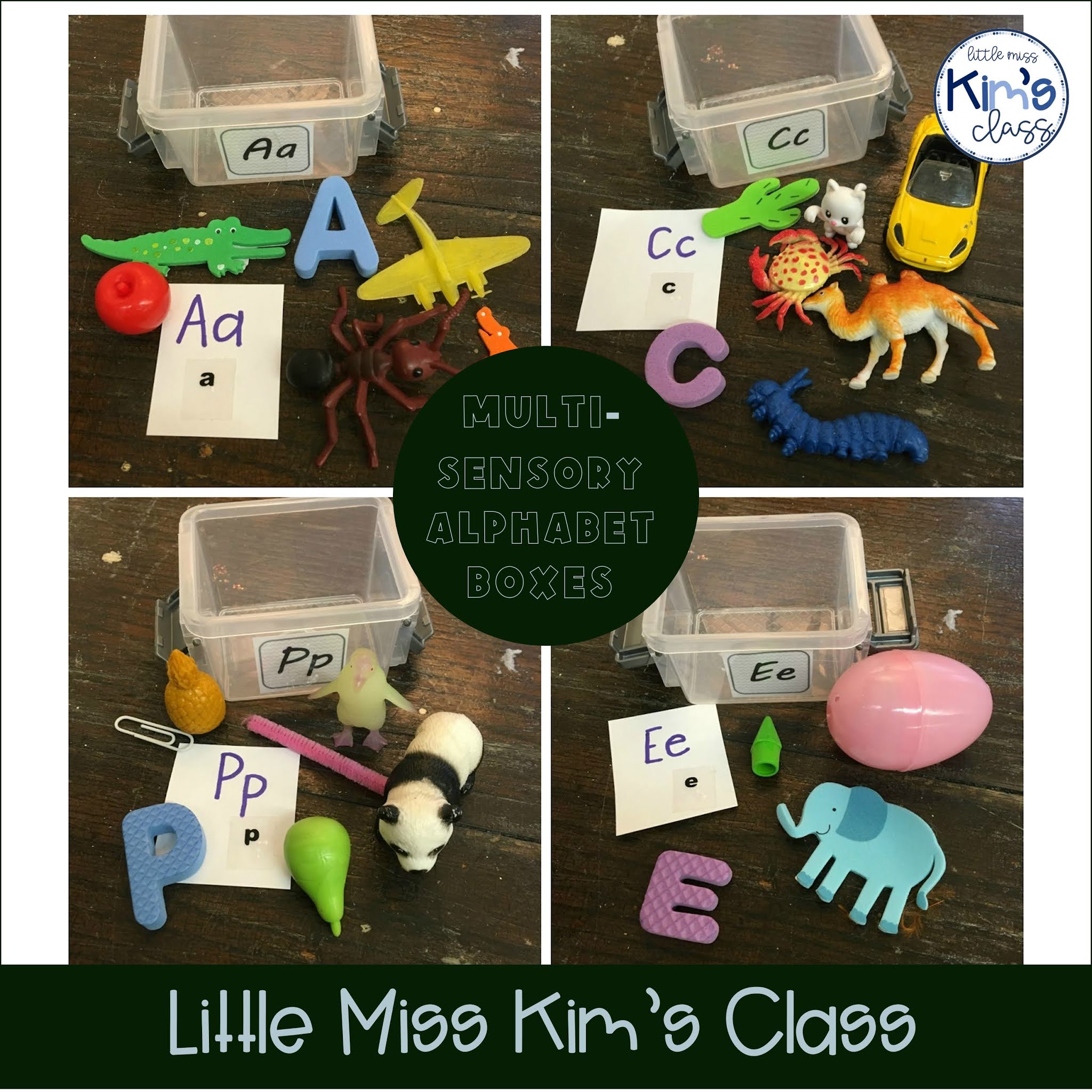 Little Miss Kim's Class: DIY Multisensory Alphabet Boxes for Special ...