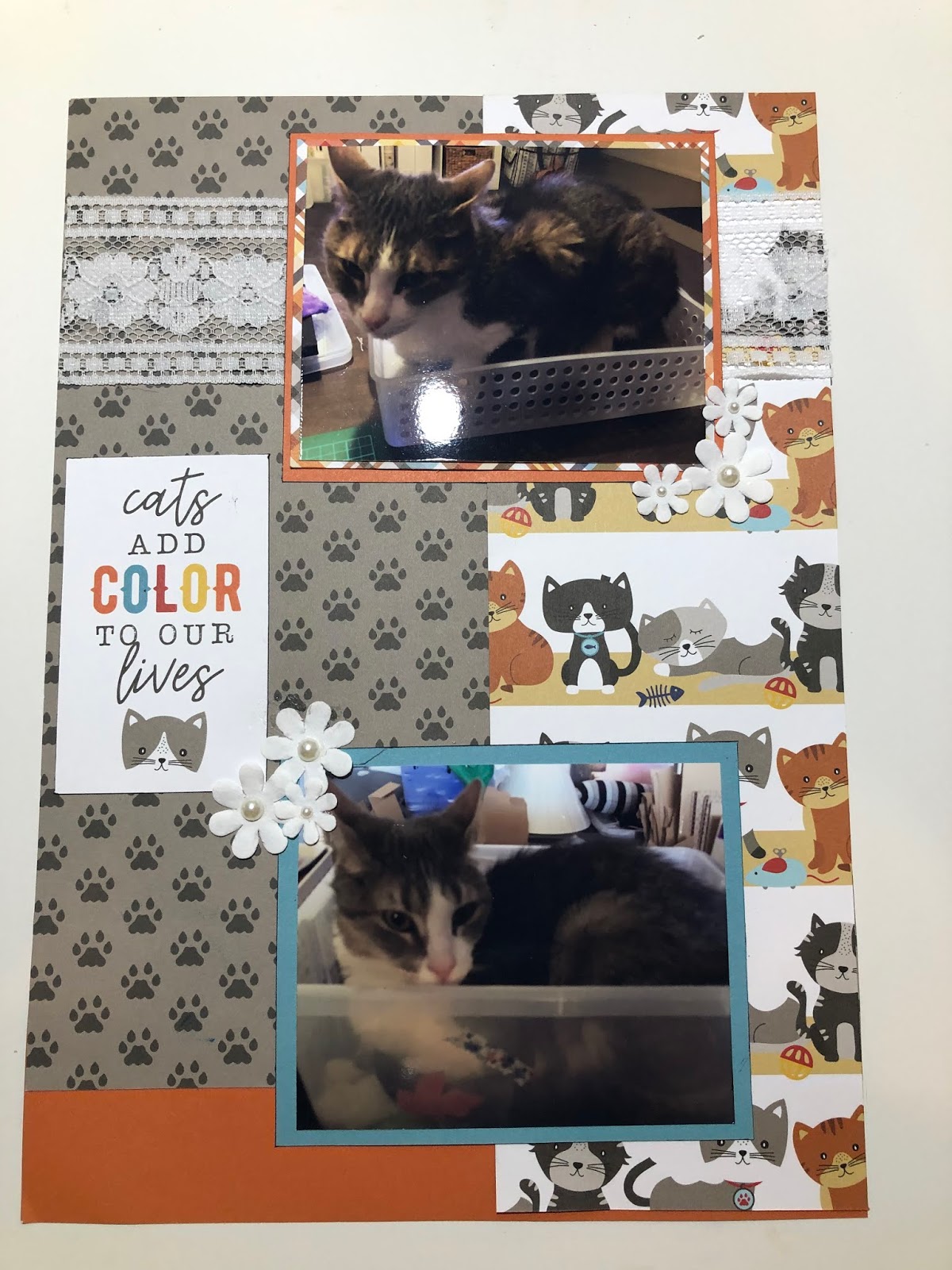 Aunty Vera Scrap and Craft: Like a Cat - Sue's Scrapbook Layout