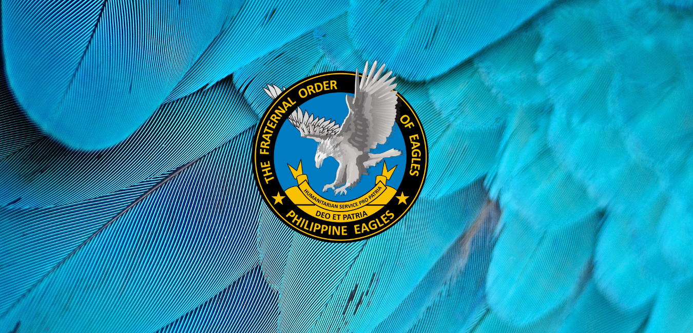 Free TFOE-PE Wallpapers 1-70