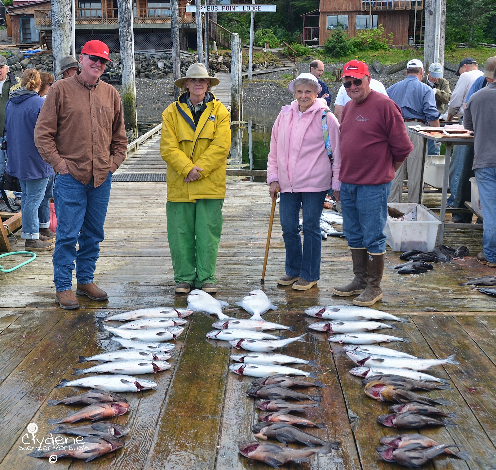 Skunk Hollow: Pybus Point Lodge, Alaska