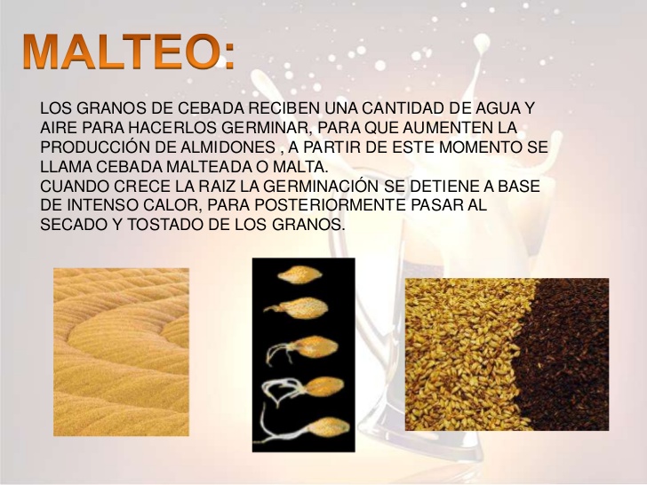 Cervezal: 2 - Malteado