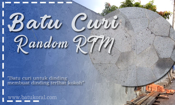 JUAL BATU CURI ( MONSTER STONE) RANDOM RTM SEJABODETABEK ~ JUAL BATU ...
