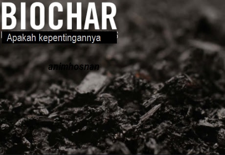 Anim Agro Technology: BIOCHAR - APA KPENTINGANNYA