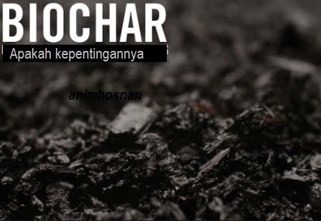 Anim Agro Technology: BIOCHAR - APA KPENTINGANNYA