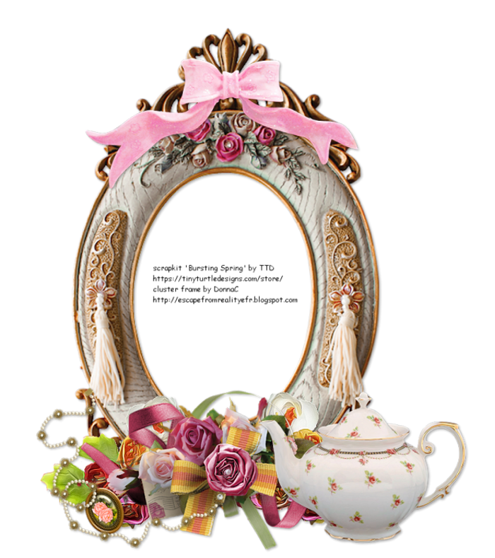 Escape From Reality Blog: FTU 'Bursting Spring' Cluster Frames TTD