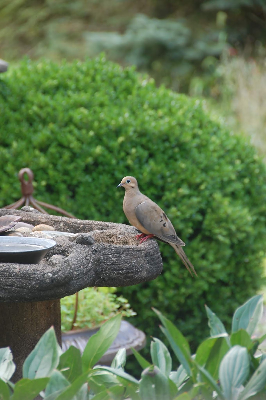 Email This BlogThis! Share to Twitter Share to Facebook