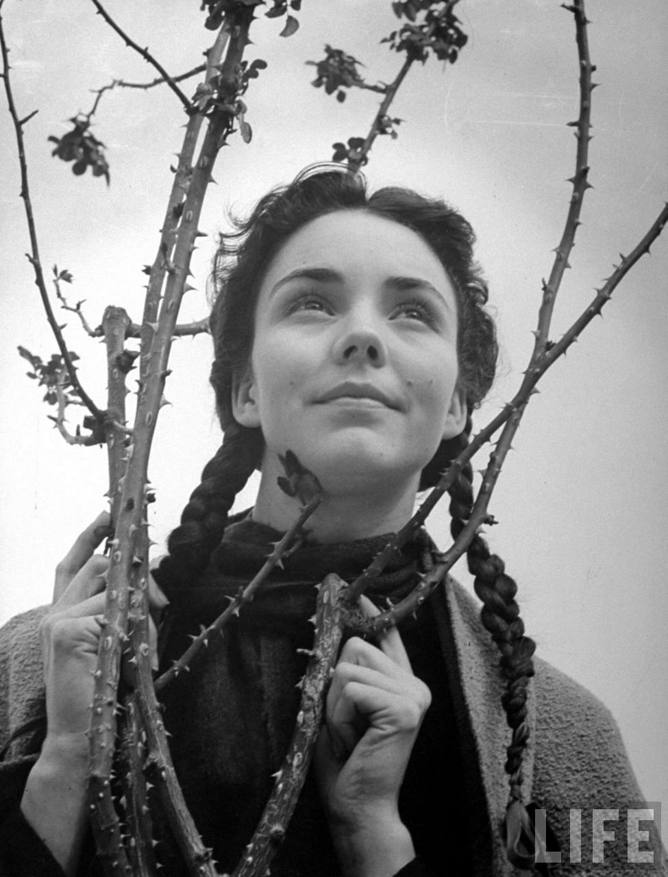 Los Angeles Morgue Files: "The Song of Bernadette" Actress Jennifer ...