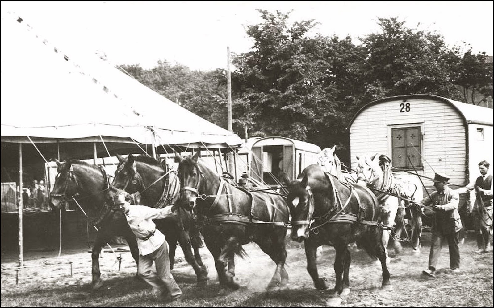 Buckles Blog: STRASSBURGER #2