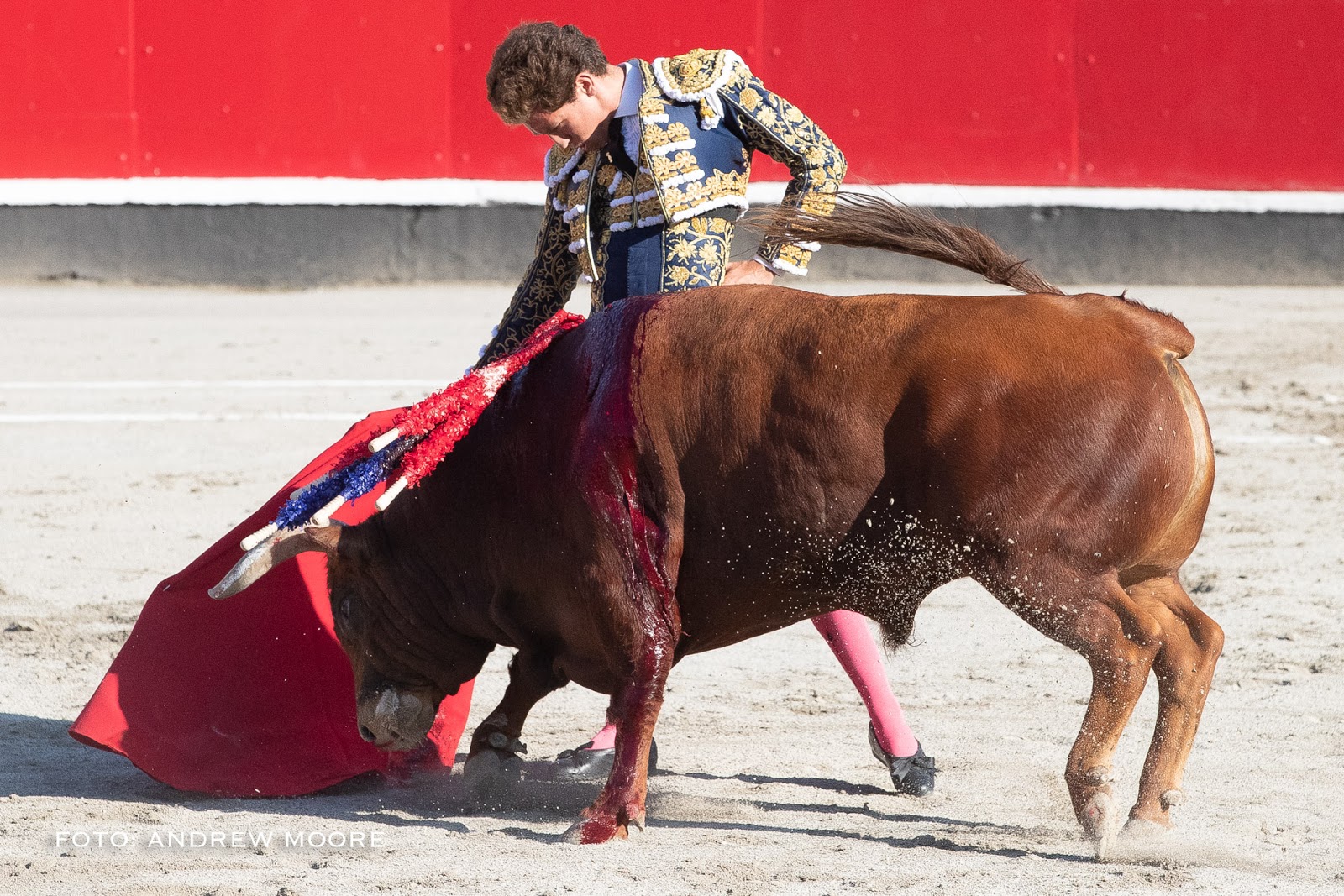 Del toro al infinito: AZPEITIA. La corrida de Gavira en el objetivo de ...